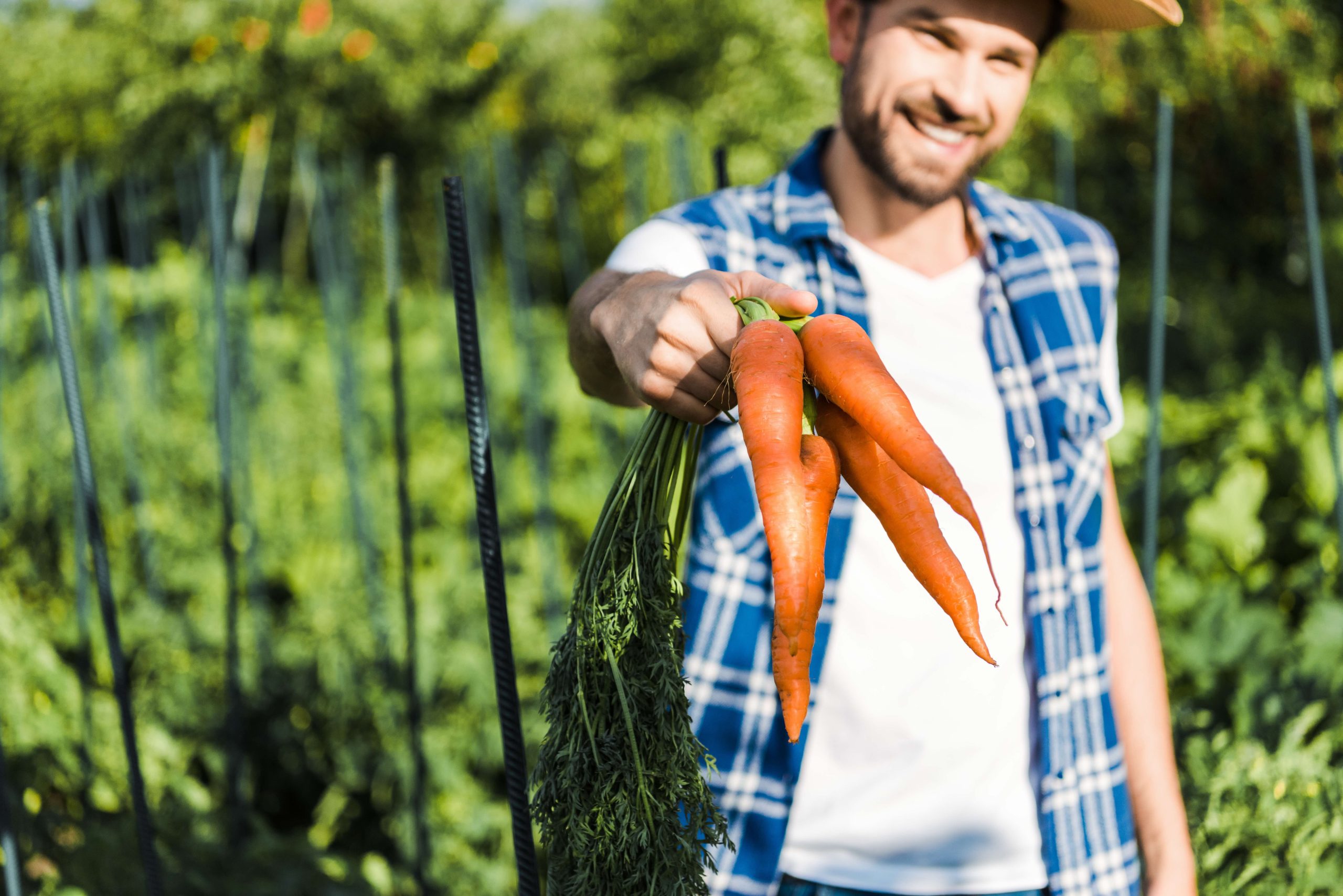 Contact - Everfresh Supermarkets - As Fresh As It Gets