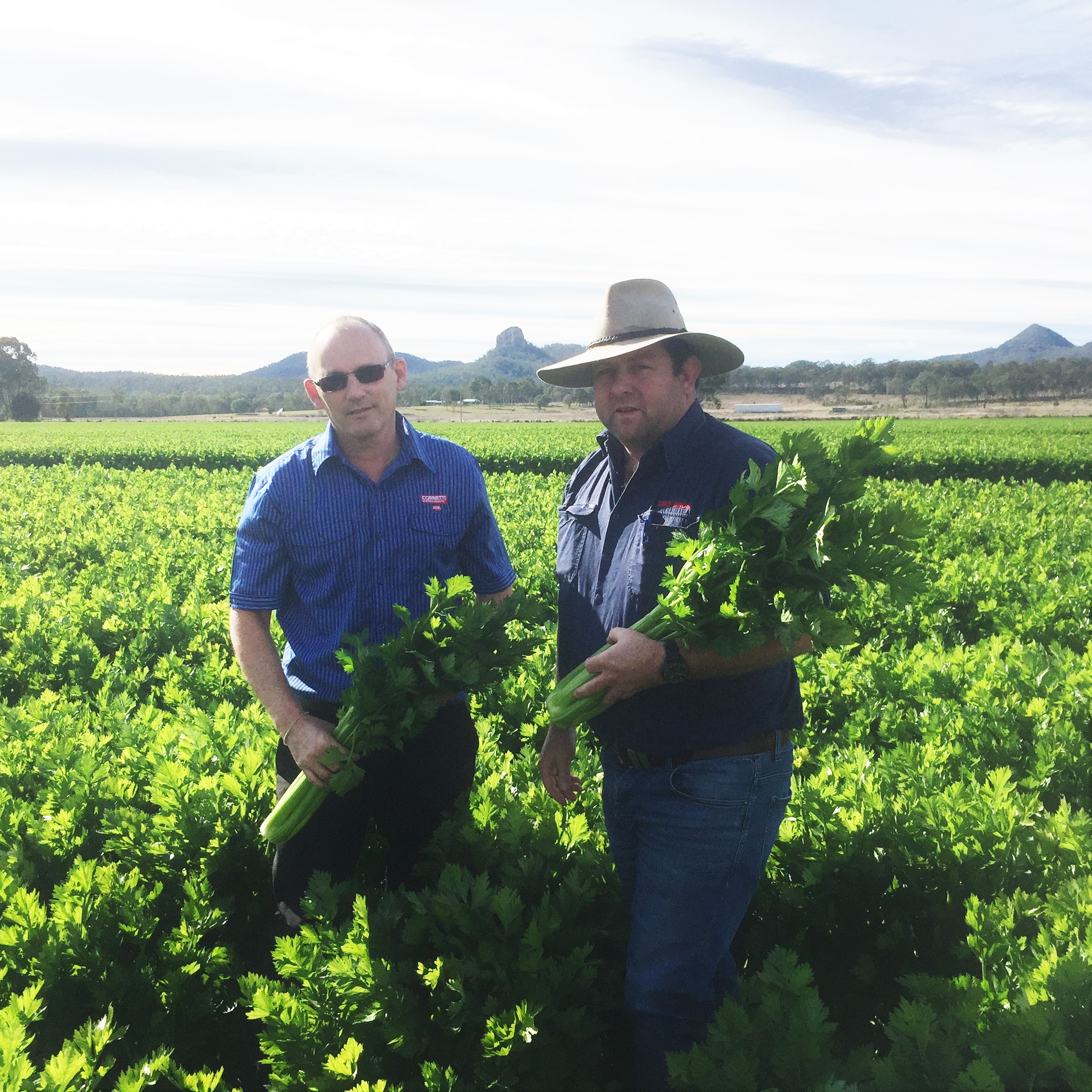 About - Everfresh Supermarkets - As Fresh As It Gets
